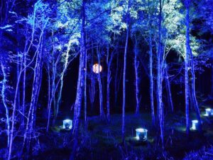 The Enchanted Forest, Perthshire | Perth & Kinross
