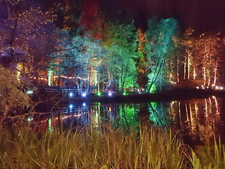 The Enchanted Forest, Perthshire | Perth & Kinross