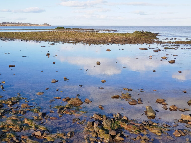 Solway Firth | Dumfries & Galloway