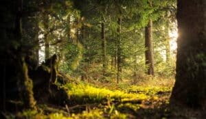 Top Free Activities in Scotland | Sightseeing Ideas