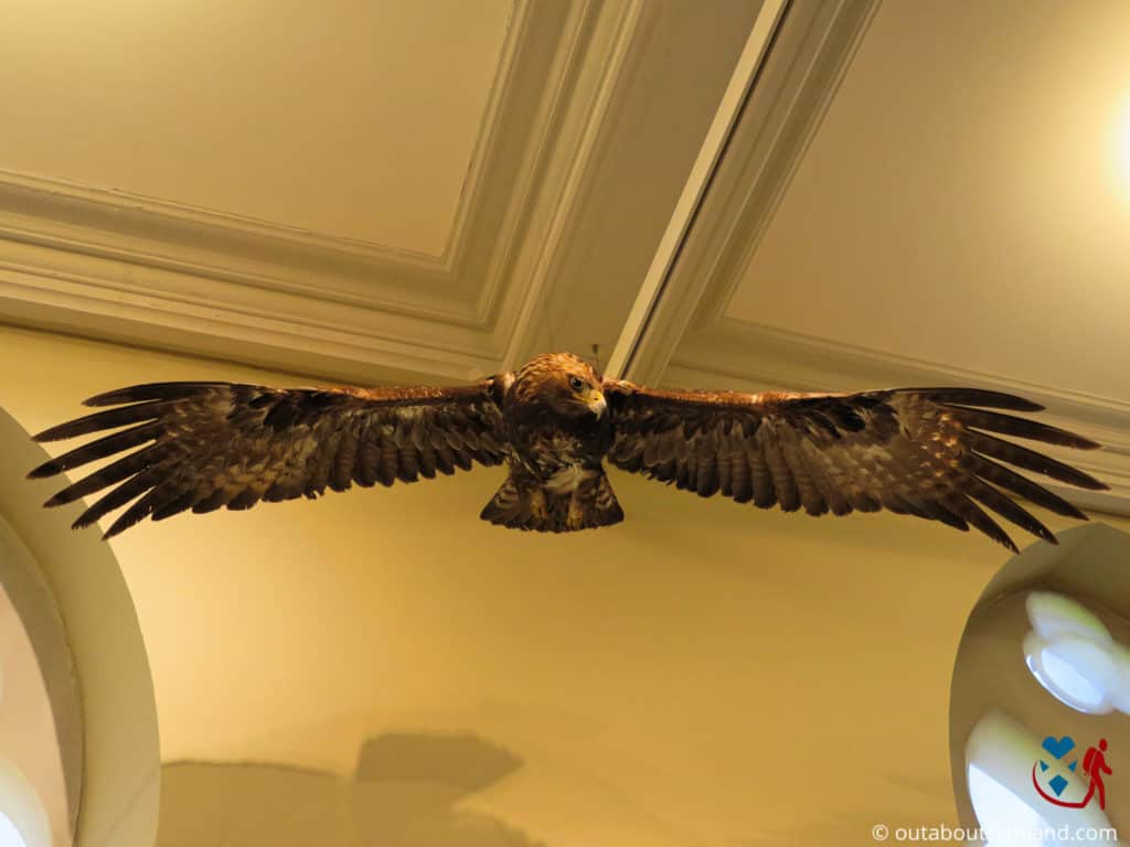 A Guide To: The McManus Museum in Dundee | Out About Scotland