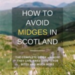 A Guide to Midges in Scotland | Travel Tips & Advice