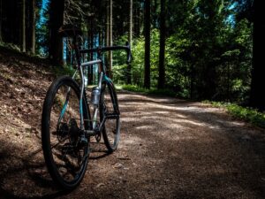 Visiting Scotland's Forests - Complete Guide | Sightseeing Ideas