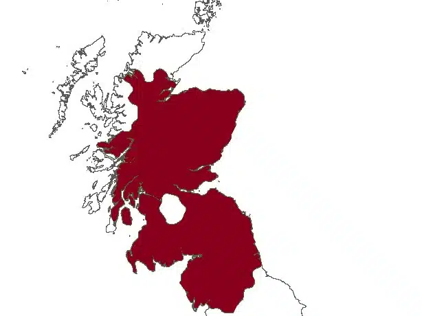 The Best Places to See Red Squirrels in Scotland | Scotland Tourist ...