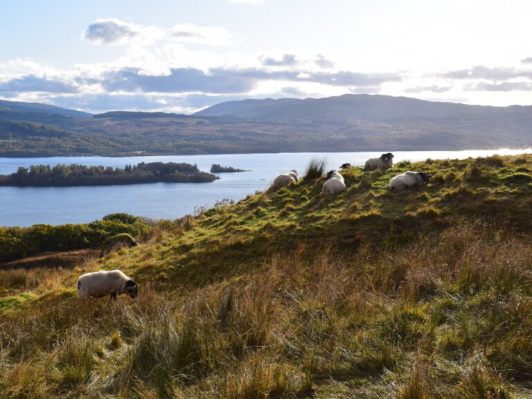 The Most Beautiful Lochs to Visit in Scotland | Sightseeing Ideas