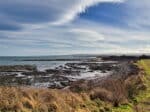 Seacliff Beach Visitor Guide