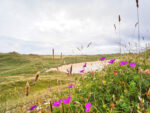 Isle of Coll | Inner Hebrides