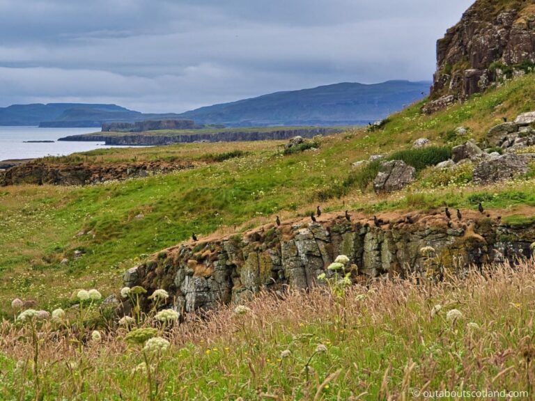 Isle of Lunga Visitor Guide | Out About Scotland