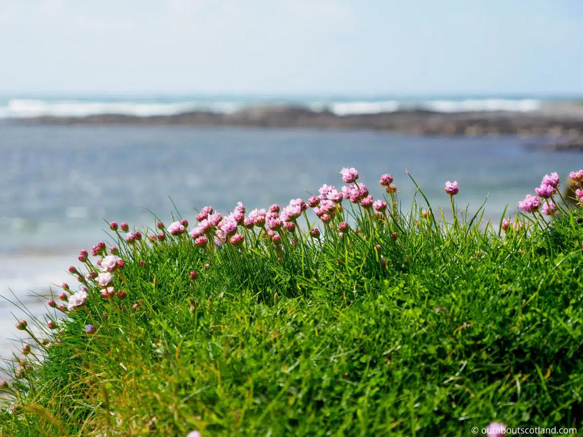 Isle of South Uist Visitor Guide | Uist