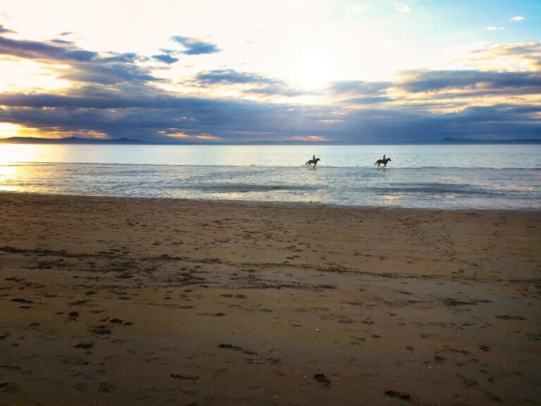Where Are the Best Beaches Near Edinburgh? | Edinburgh