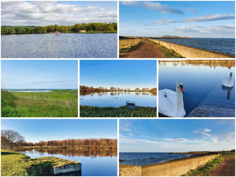 Musselburgh Lagoons & Levenhall Links | East Lothian