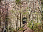 Fascinating Facts About Attractions in East Lothian | East Lothian